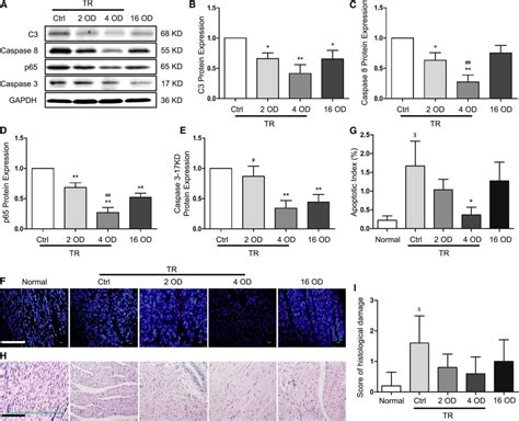 Javascript Spreadsheet Library With Javascript Spreadsheet Library Together With 19 Frais Floor