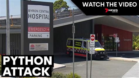 5 Year Old Boy Recovering From Terrifying Python Attack 7news
