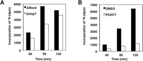 Usp7 Plays A Key Role In Efficient Dna Methylation A Sperm Chromatin
