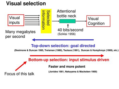 Ppt A Bottom Up Visual Saliency Map In The Primary Visual Cortex Powerpoint Presentation Id