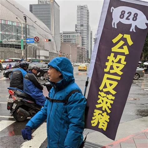 諷民進黨對罷免今昔雙標 羅智強嗆：歡迎來罷 笑你不敢 政治 中時
