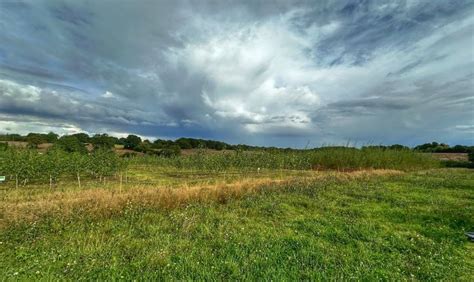 Ray S On Linkedin Connecting Biomass At The Grass Root Level Involves