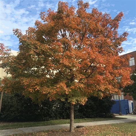 杜克大学，我们来了！ 搜狐大视野 搜狐新闻