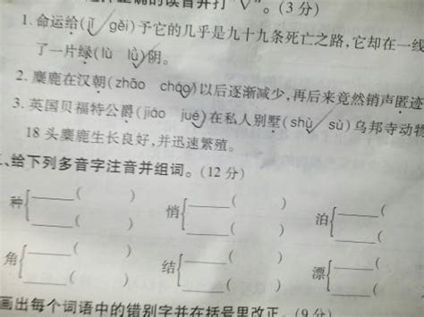 尽多音字组词 啊四声组词 尽的多音字有哪些组词有哪