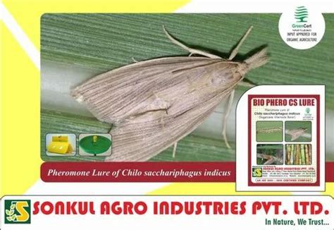 Bio Phero Cs Lure Sugarcane Internode Borer Lure At Rs 15 Pheromone