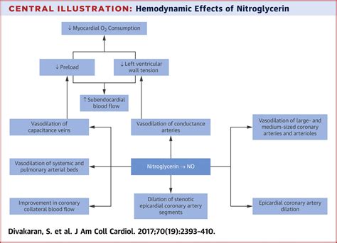 The Role Of Nitroglycerin And Other Nitrogen Oxides In Cardiovascular