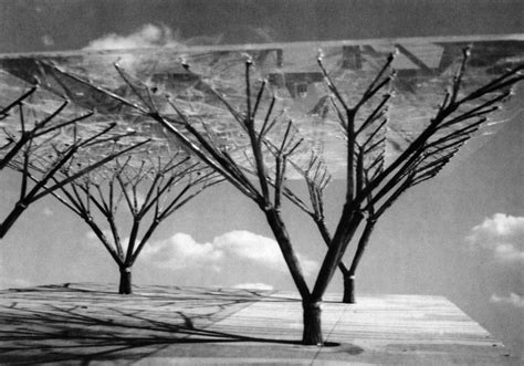 Frei Otto Tree Structures Project 1960 Tree Structure Structure Architecture Art And