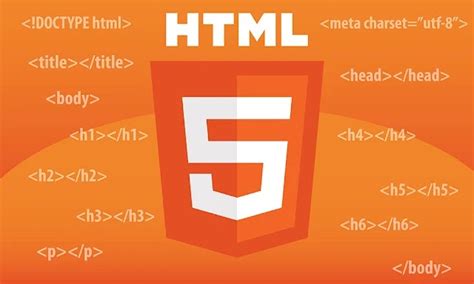 Html Tables جداول