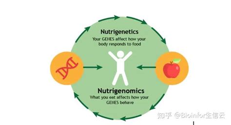 生物信息学的发展与未来 知乎