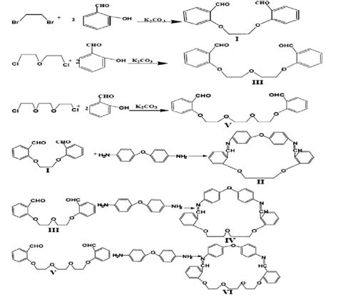 Scheme Of Synthesis Of Schiff Bases Download Scientific Diagram