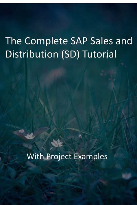 The Complete SAP Sales And Distribution SD Tutorial With Project Examples By Seragai