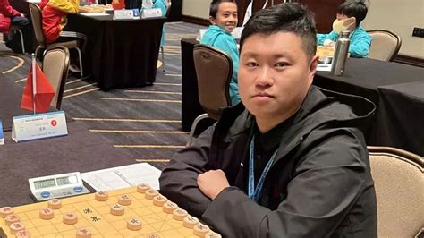 孟辰勇夺象棋世界冠军四川在线