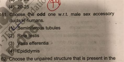 4 20 25 161 Choose The Odd One Wrt Male StudyX