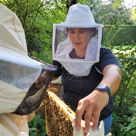 Charlotte Durieux Élène Equi Sibyle Moulin Léquipe Beeplanète