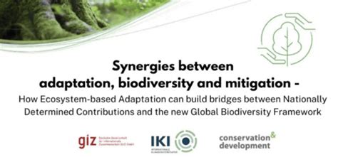 Launch Event Synergies Between Adaptation Biodiversity And Mitigation