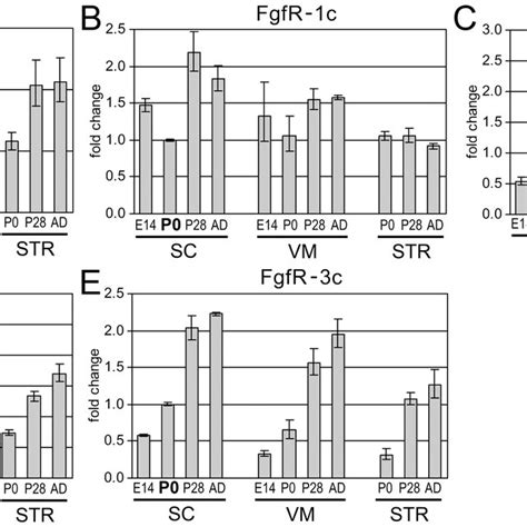 Expression Profiles Of The Major Fgf Receptors Ab Expression Of