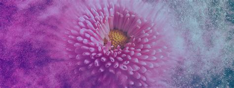 6 Data Driven Presentation Tips For Marketers