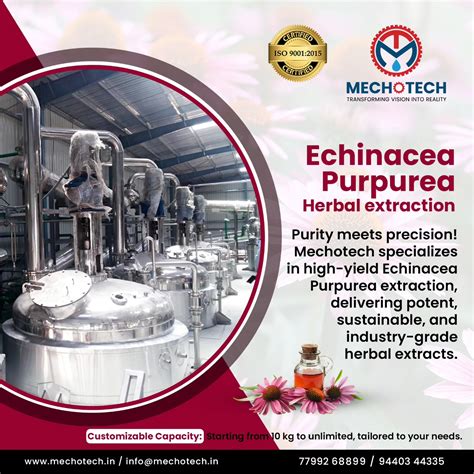 Mechotech Echinacea Purpurea Herbal Extraction Unlocking Natures Immunity Booster 🌱