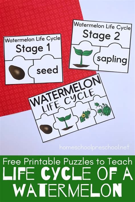 Free Watermelon Life Cycle Printable Puzzles