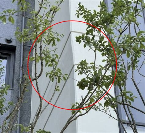 전남도 무안 오룡 신축 브랜드 아파트 긴급 품질 점검