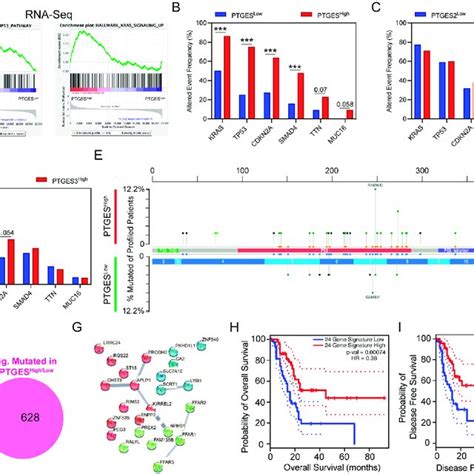 The Mutational Landscape Of Pancreatic Cancer Patients Based On Ptges Download Scientific