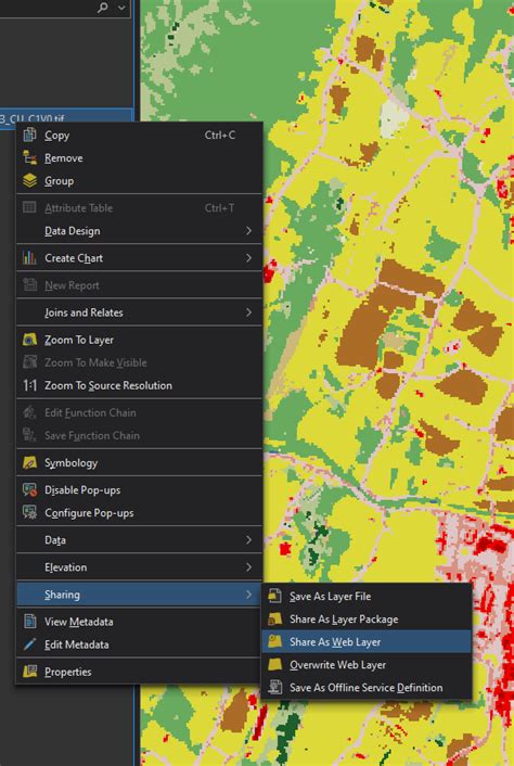TIF Raster To Map Image Layer Esri Community