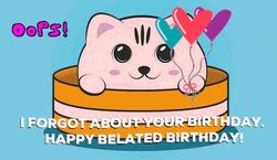 Happy Belated Birthday Oops Cat Cake 
