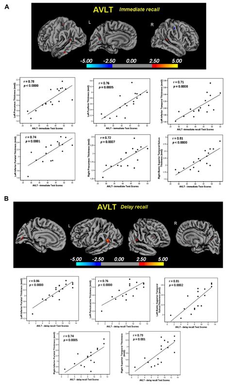 A Regions With Significant Correlation Between Memory Performance Download Scientific Diagram