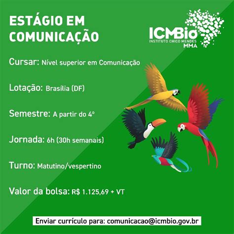 Instituto Chico Mendes De Conservacao Da Biodiversidade No Linkedin