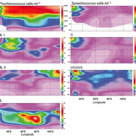 Global Distribution Of Synechococcus Clades And Prochlorococcus