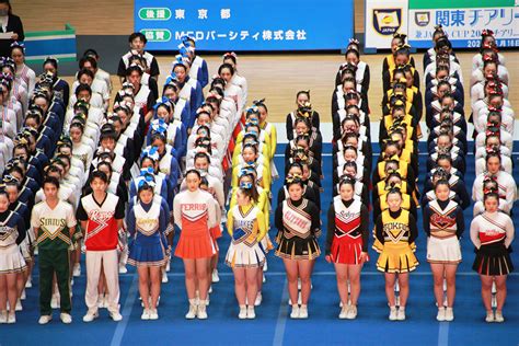 第23回関東チアリーディング選手権大会 関東大会 チアリーディング Tdyarw