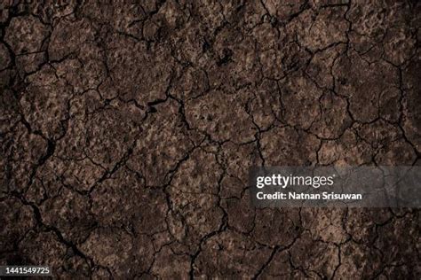 Terrain Map Texture Photos And Premium High Res Pictures Getty Images
