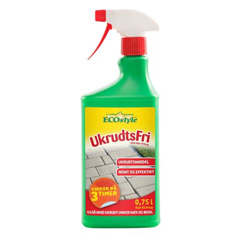 Hvad Spiser Myrer Ecostyle Gør Dig Klogere På Myrer