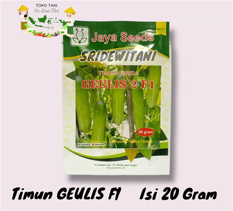 Geulis F Isi Gram Benih Timun Lalap Hibrida F GEULIS F JAYA SEED BANDANA WULAN Lazada