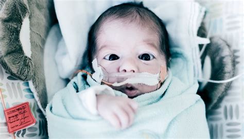 Gene Discovery May Prevent Preterm Births Futurity