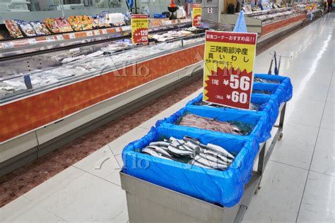 スーパー 鮮魚売り場に並ぶ秋の魚 鰯、秋刀魚 64895157 の写真素材 アフロ