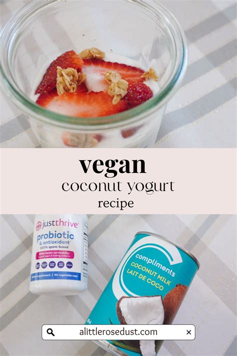 Vegan Coconut Yogurt Recipe