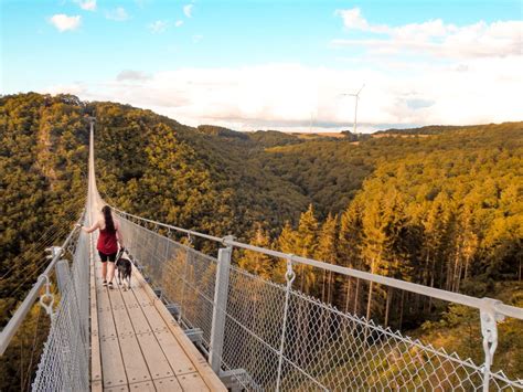 Geierlay Suspension Bridge Everything You Need To Know Hello Its Jasper