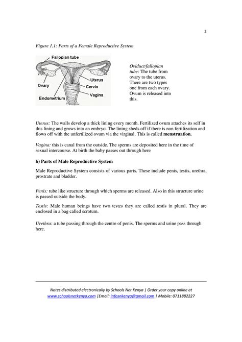 SOLUTION Primary Science Notes For Class 7 And 8 Pdfdrive Studypool