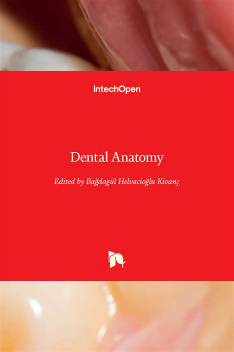 Identification Of Lower Central Incisors Intechopen