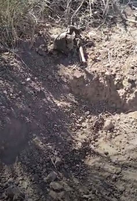 Madres Buscadoras De Sonora Hallaron Al Menos Fosas Con Cuerpos En Hermosillo Infobae