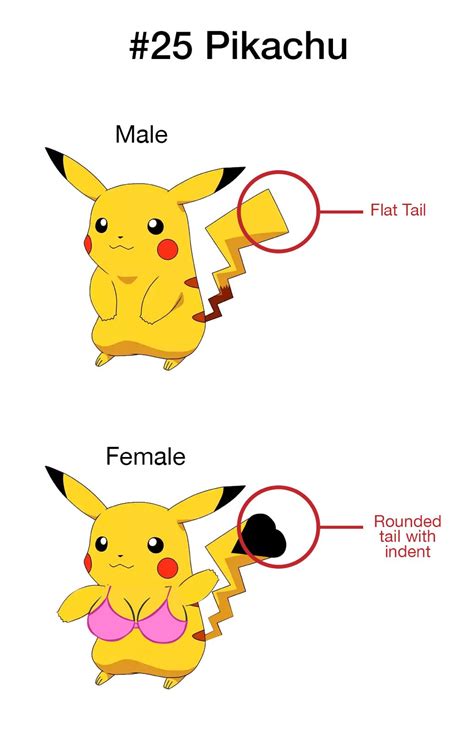 Pikachu Female And Male