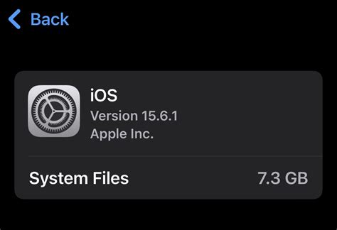 System Files Disk Usage On Iphone 8 Plus 256 Gb Macrumors Forums