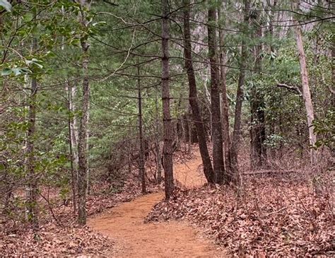 Private Property Phase I Long Cane Trails