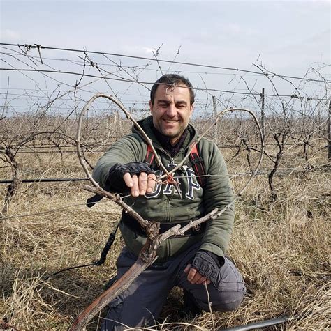 ღვინის ტურიზმი Winetourism Ge Tbilisi