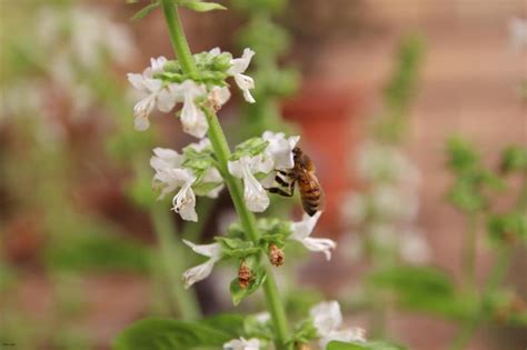 Fao On Linkedin Ecosystem Health And Biodiversity Depends On More Than