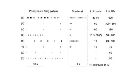 Postsynaptic Wring During Plasticity Induction Comparison Of Protocols