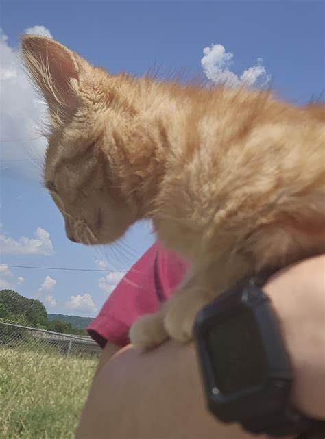 Pit Stop 1 Album On Imgur