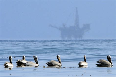 Trumps New Offshore Drilling Plan Poses Environmental Concerns
