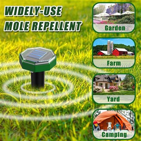 8 Best Ultrasonic Gopher Repellent 2023 Hummingbirds Plus